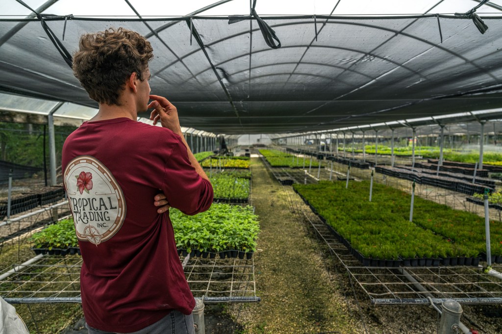 About Us – Sueno Farms